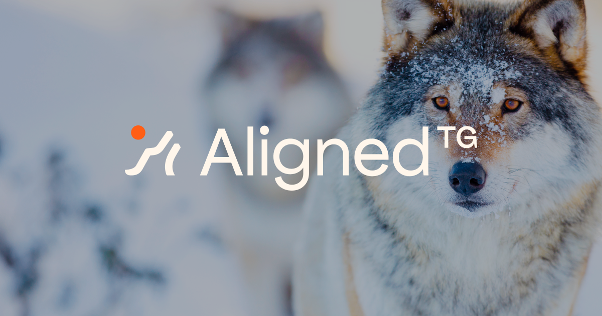 About Us | Aligned TG - Aligned Technology Group
